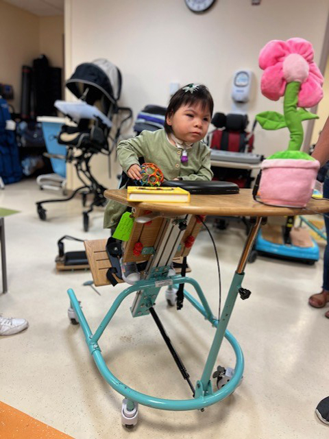 Stanzme Prone Stander – Stanzme